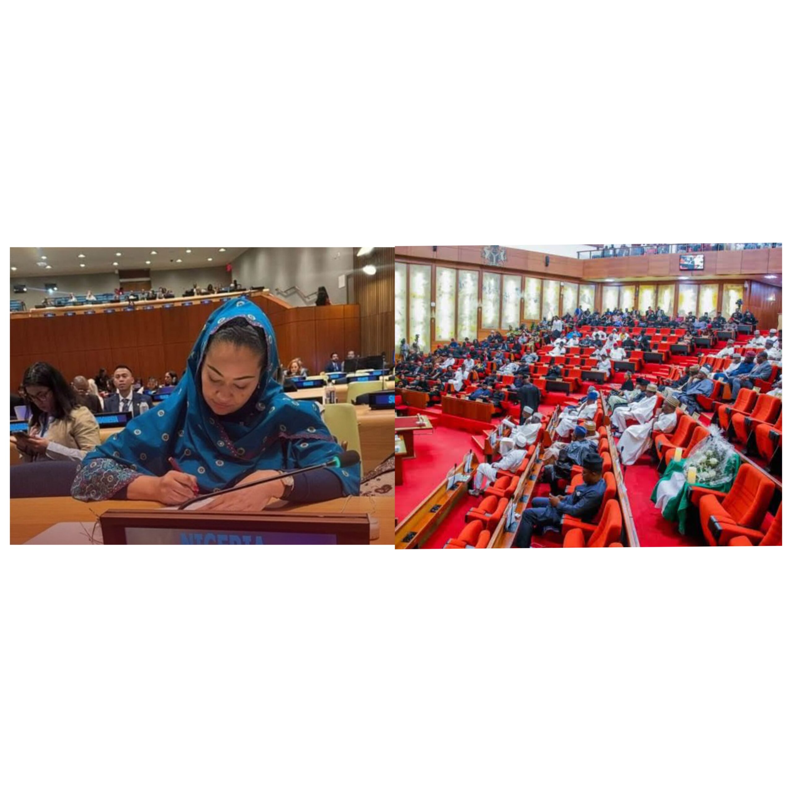 Senate to IPU: Natasha Akpoti-Uduaghan Suspended for Misconduct, Not ...